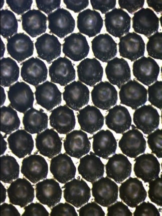 Emerging Anilox Technologies: How They Impact Brands, Board & Box