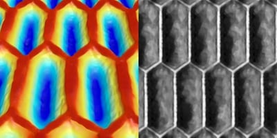 Anilox 101: Understanding Apex Anilox Engravings